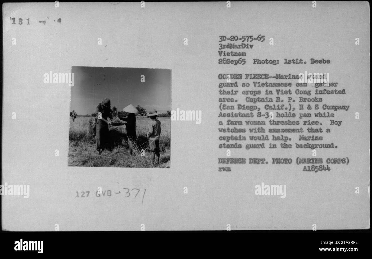 Viet cong infested area hi-res stock photography and images - Alamy