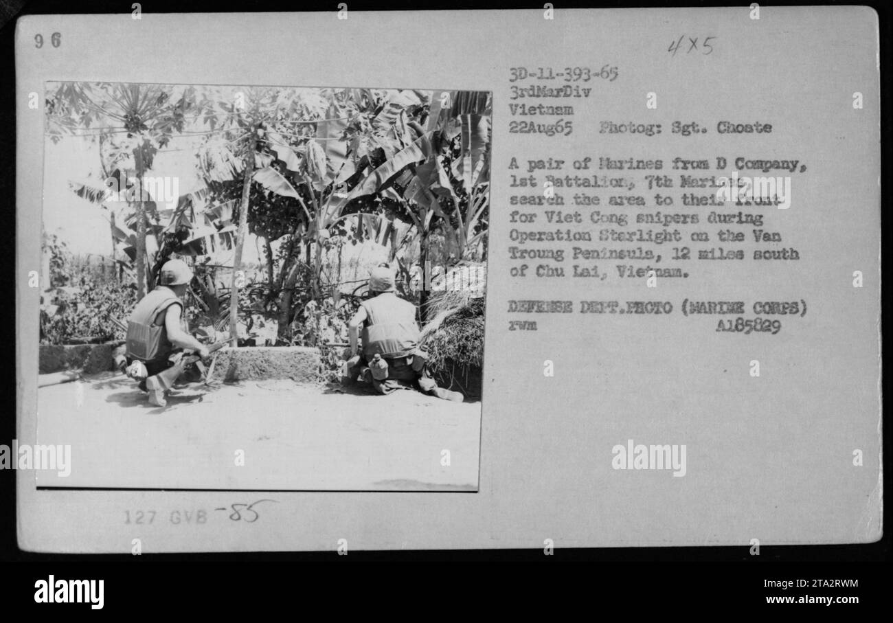Marines from D Company, 1st Battalion, 7th Marines search for Viet Cong ...