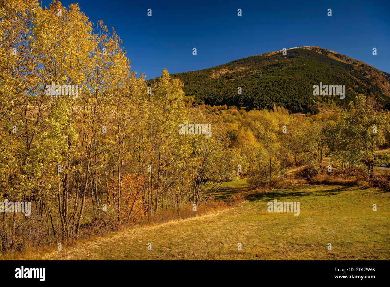 Vallee deyne hi-res stock photography and images - Alamy