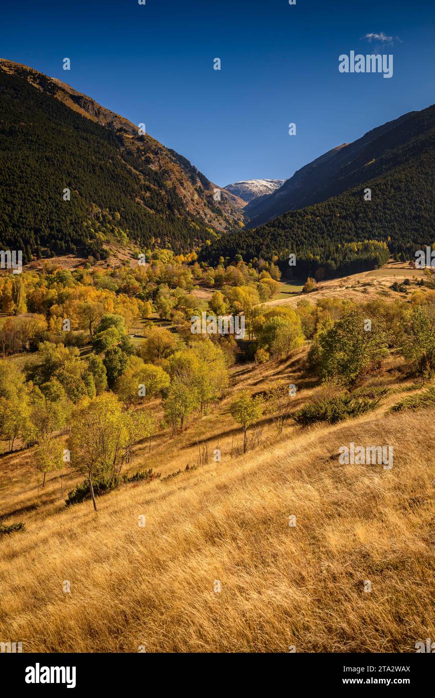 Vallee deyne hi-res stock photography and images - Alamy