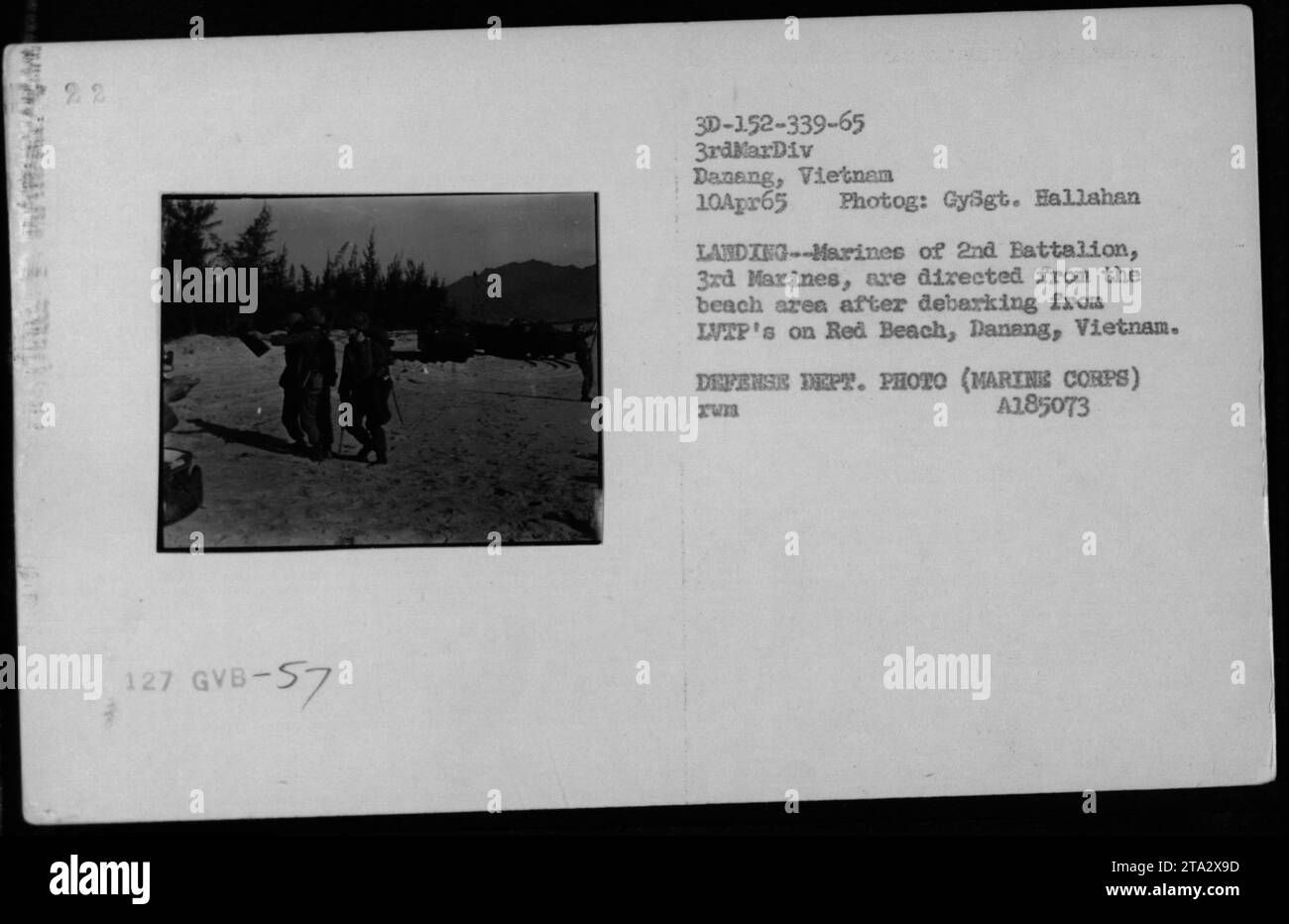 Marines from 2nd Battalion, 3rd Marines, are guided off LVTP's on Red ...