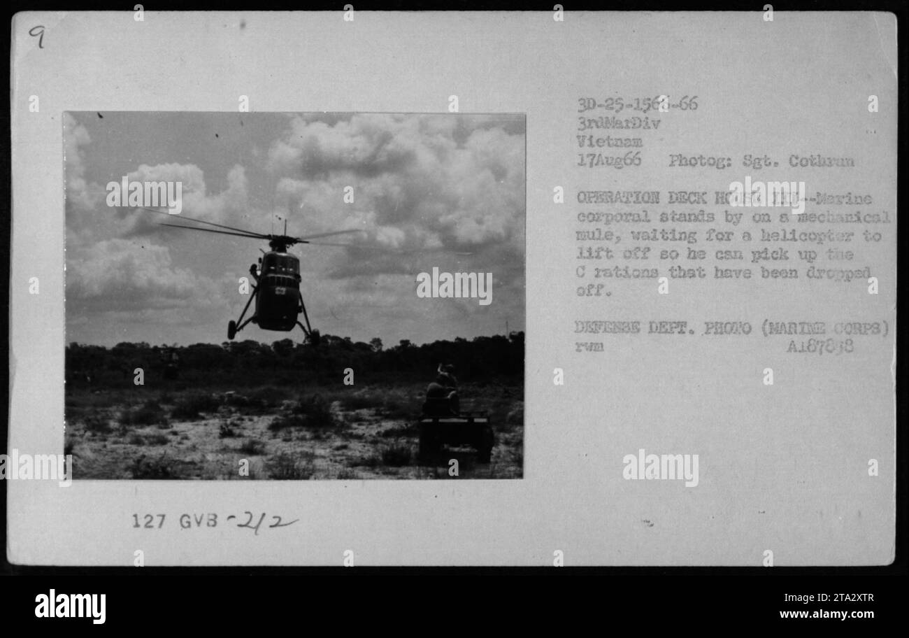 Marine corporal waiting with a mechanical mule as a helicopter takes ...