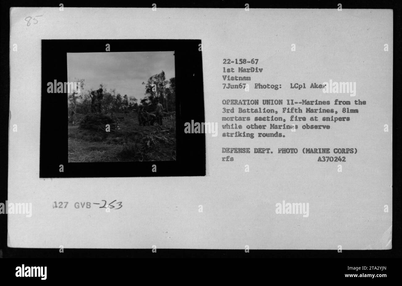 Marines from the 3rd Battalion, Fifth Marines, in Vietnam fire 81mm ...