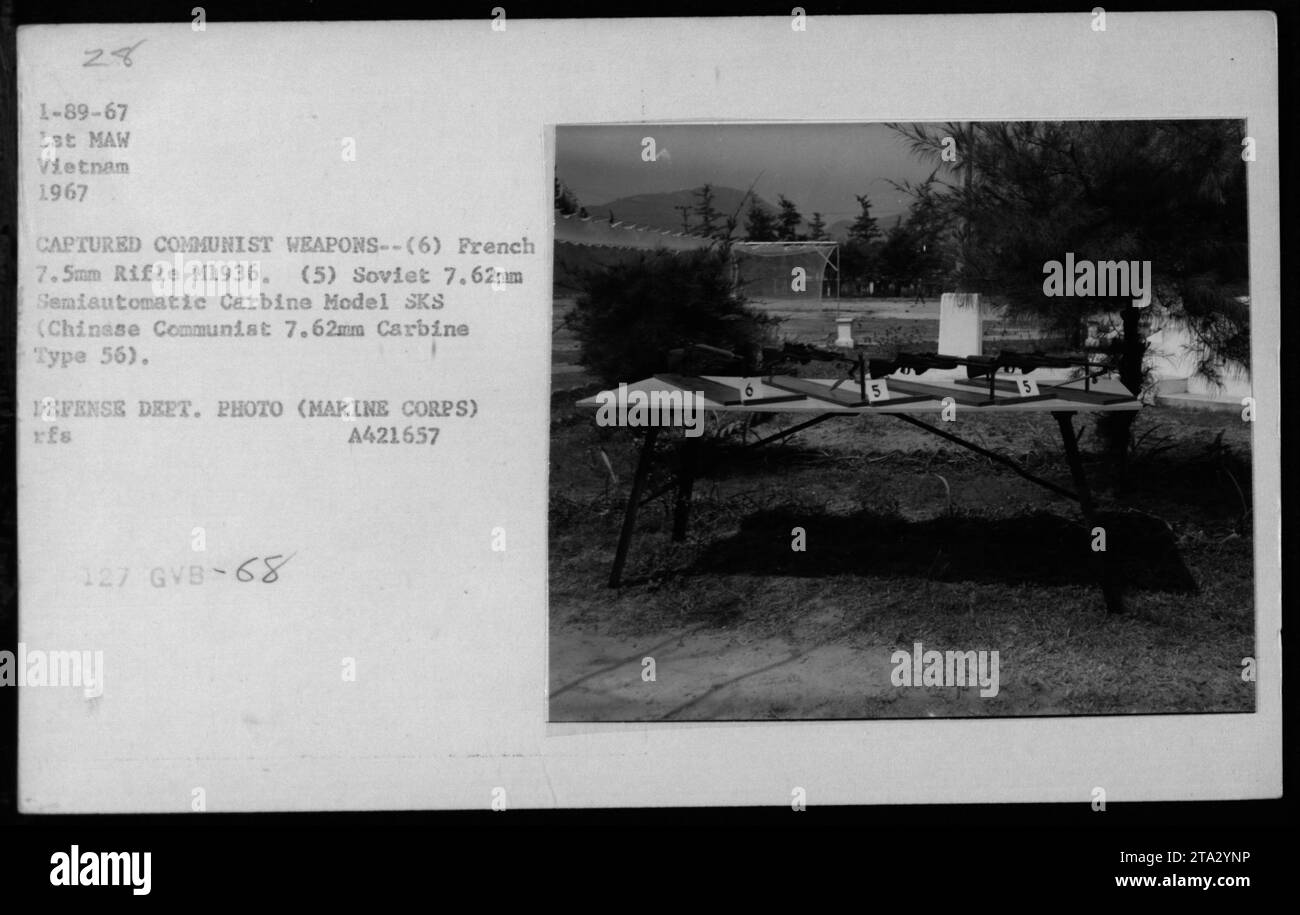 Sks rifles hi-res stock photography and images - Alamy