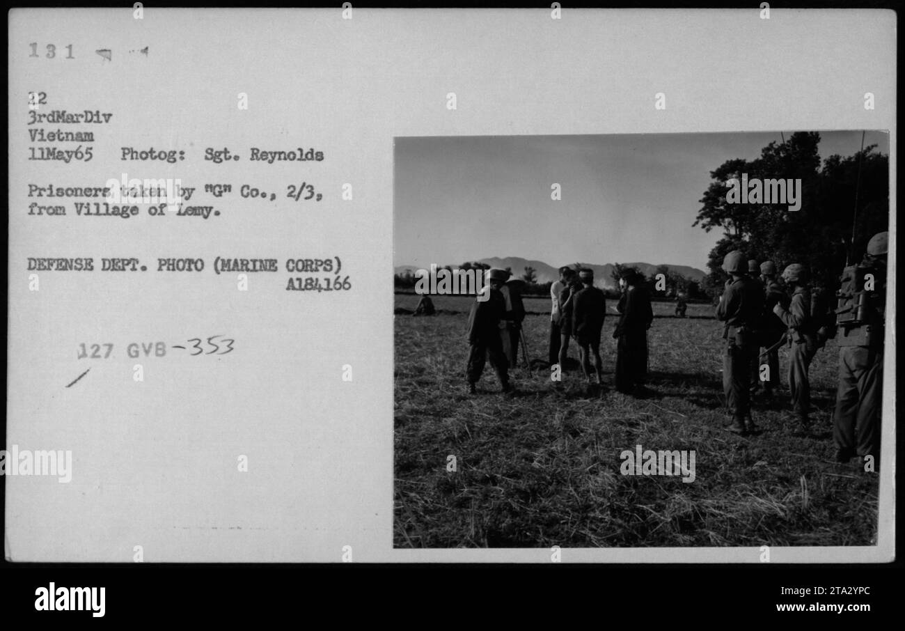 Marines from "G" Company, 2/3, captured Viet Cong suspects and ...