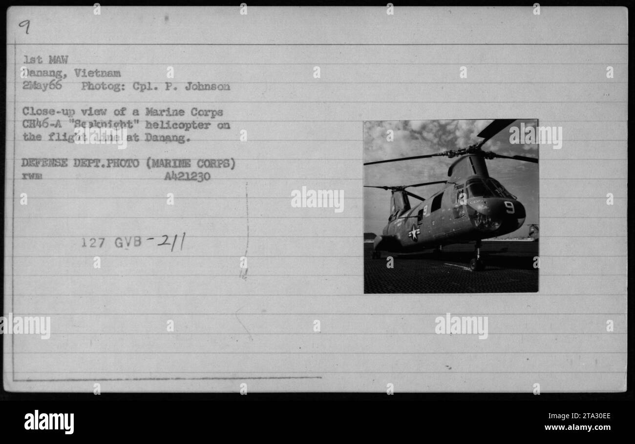 1st maw vietnam activities hi-res stock photography and images - Alamy