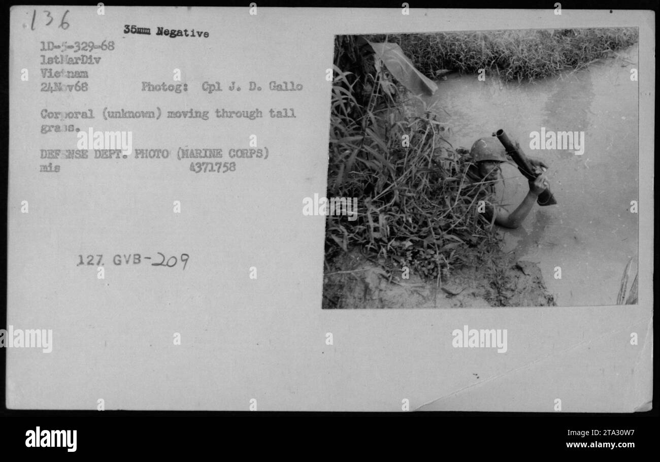 A Marine Corps corporal moves through tall grass while carrying grenade ...