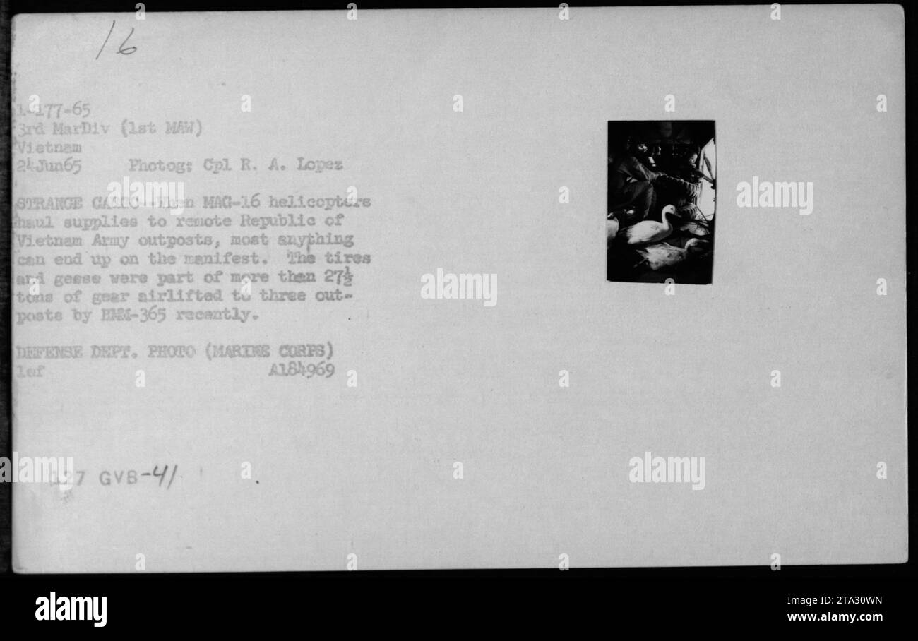 1st maw vietnam activities hi-res stock photography and images - Alamy