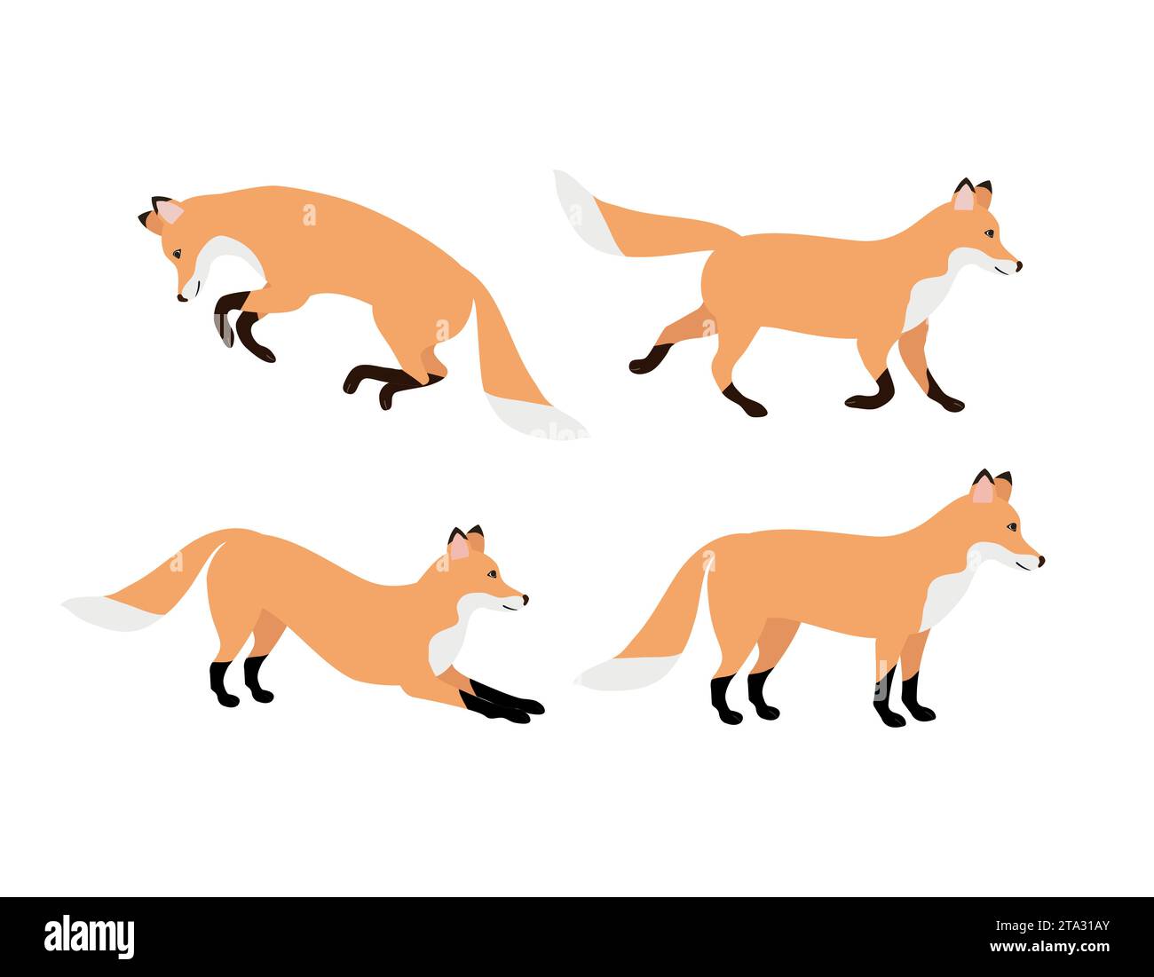 Vector set of flat hand drawn fox isolated on white background Stock ...