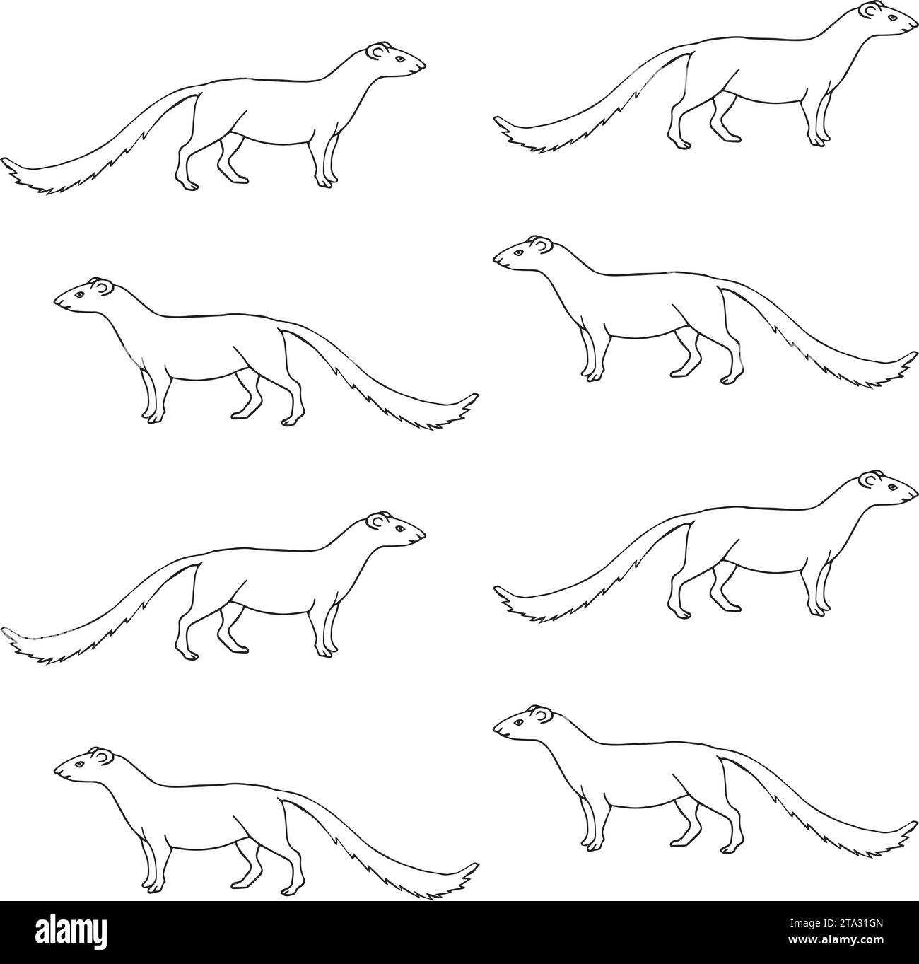 Vector seamless pattern of hand drawn doodle sketch mongoose isolated ...