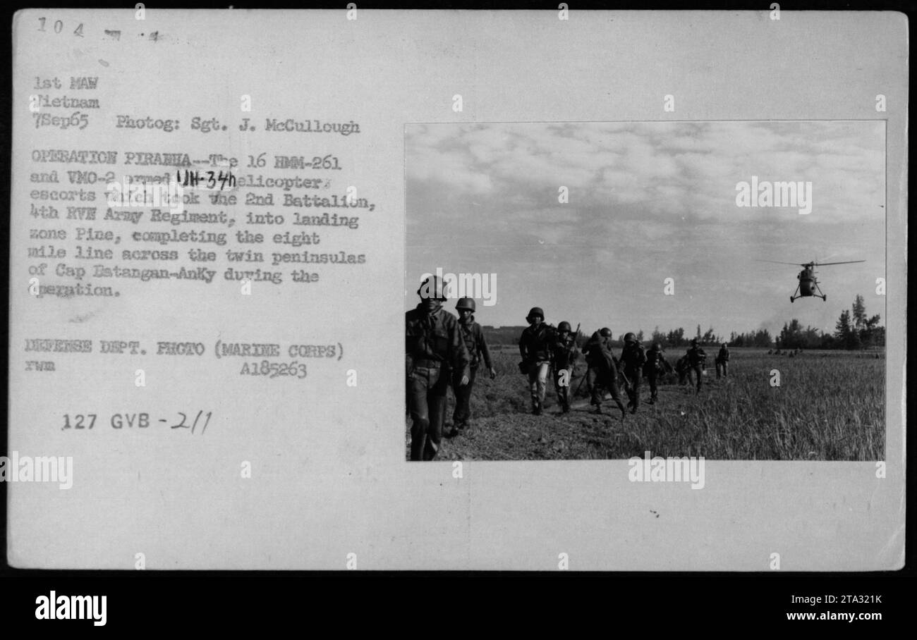 U.S. military helicopters on September 7, 1965, for Operation Piranha ...