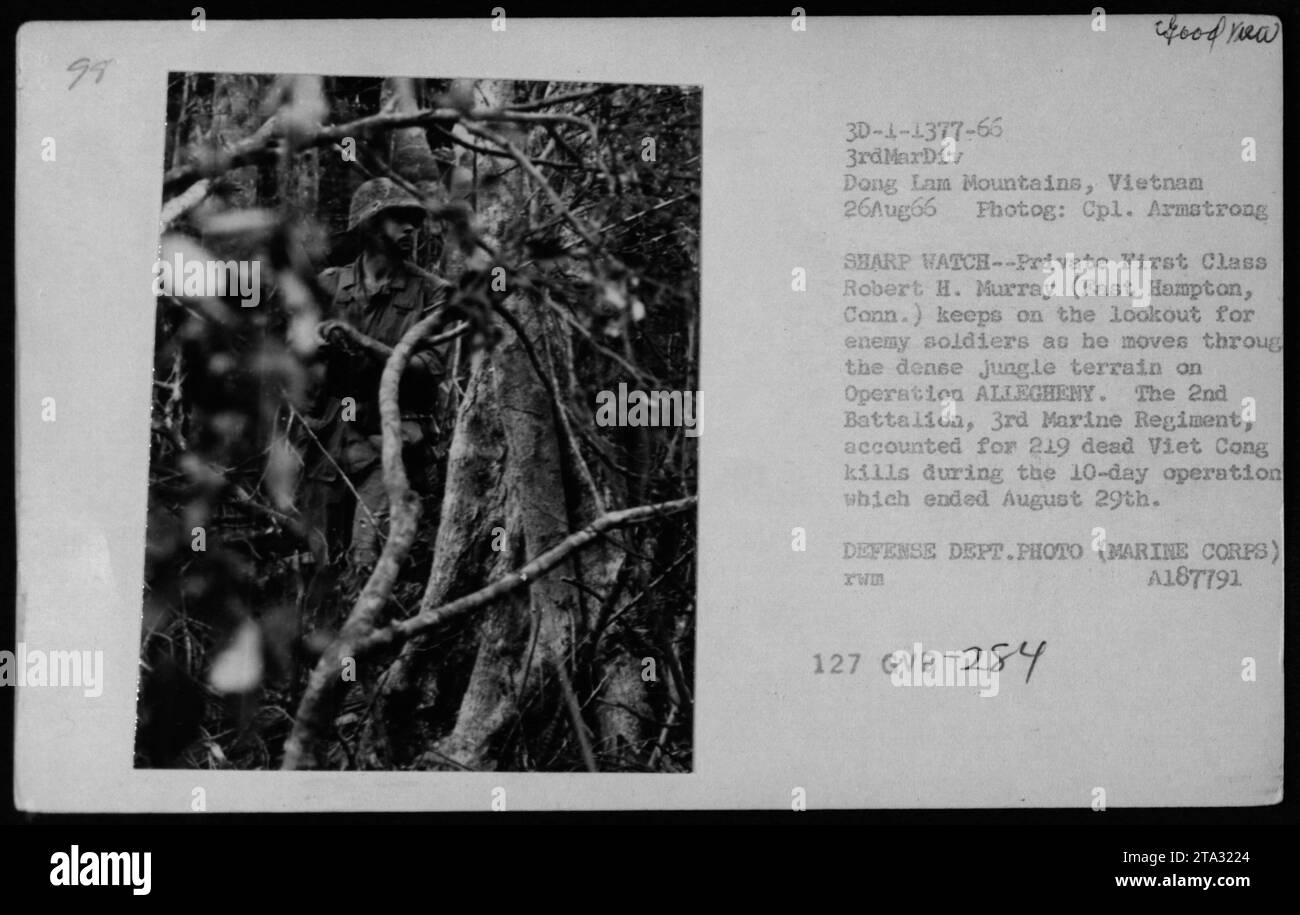 Dead viet cong kills hi-res stock photography and images - Alamy