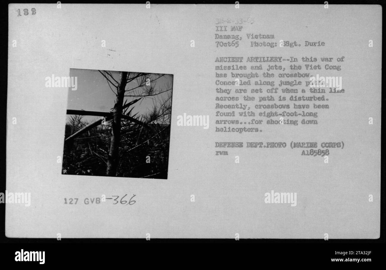 Vietnam jungle path Black and White Stock Photos & Images - Alamy