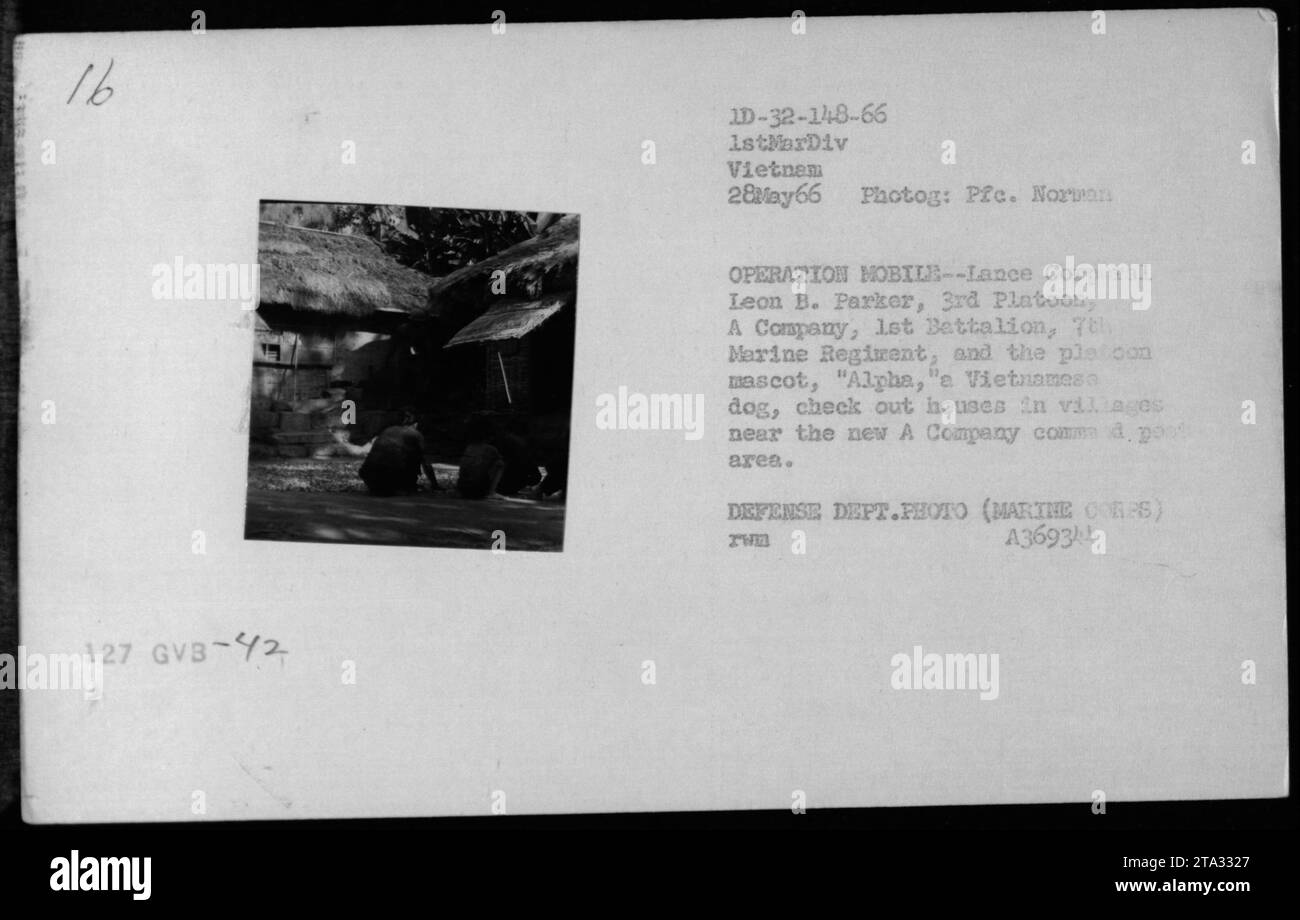 Lance Corporal Leon B. Parker of A Company, 1st Battalion, 7th Marines ...