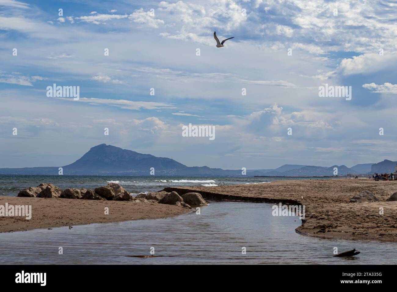 A seagull flies over the river as it flows into the sea on a beach in ...