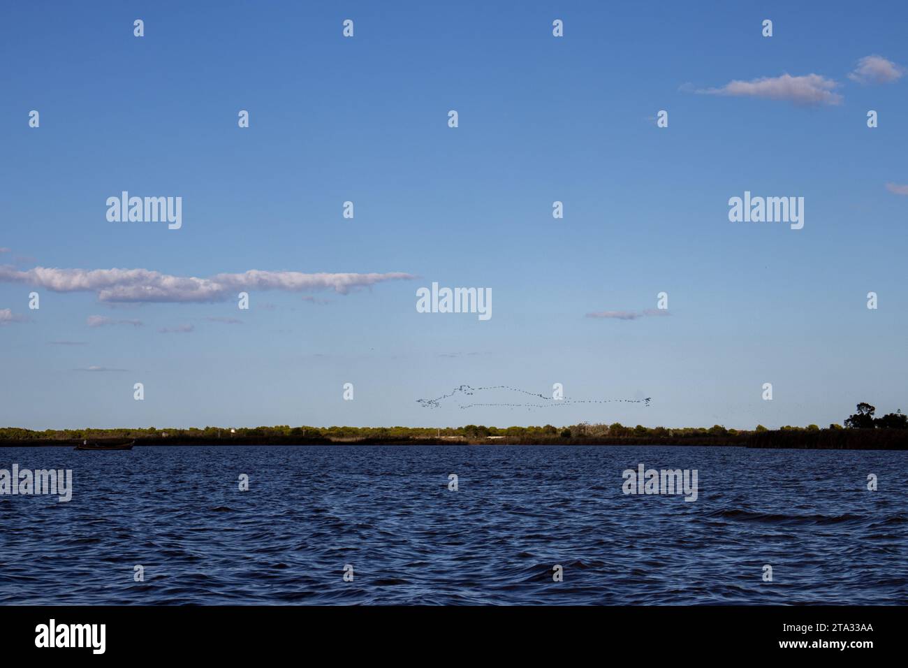 Spanish Lake Albufera over which a chain of birds flies Stock Photo - Alamy