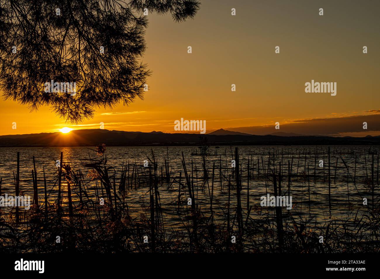 Albuferas hi-res stock photography and images - Alamy