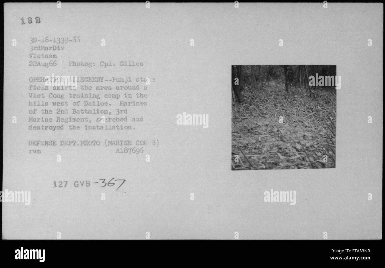 Viet cong booby traps Black and White Stock Photos & Images - Alamy
