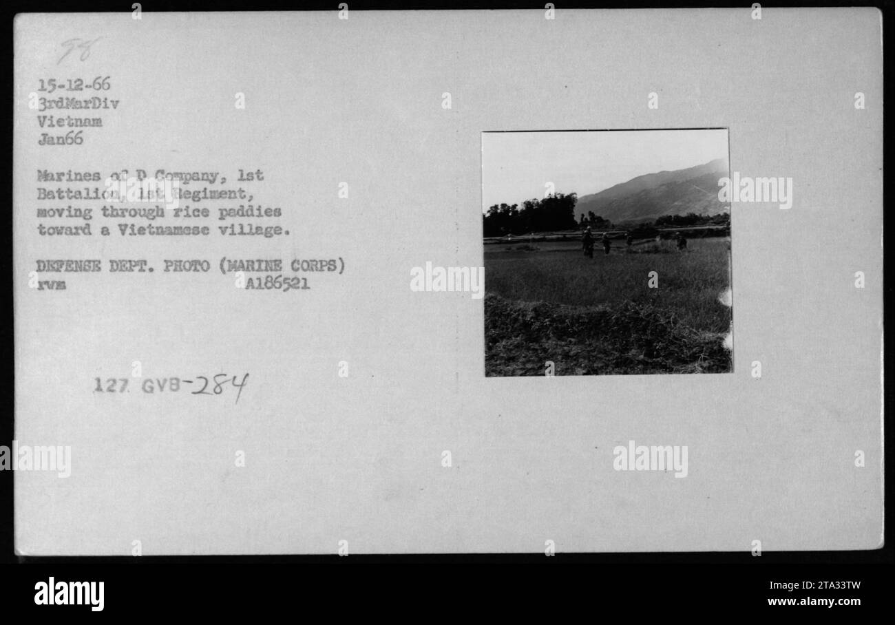 Marines of D Company, 1st Battalion, 1st Regiment conduct patrols ...