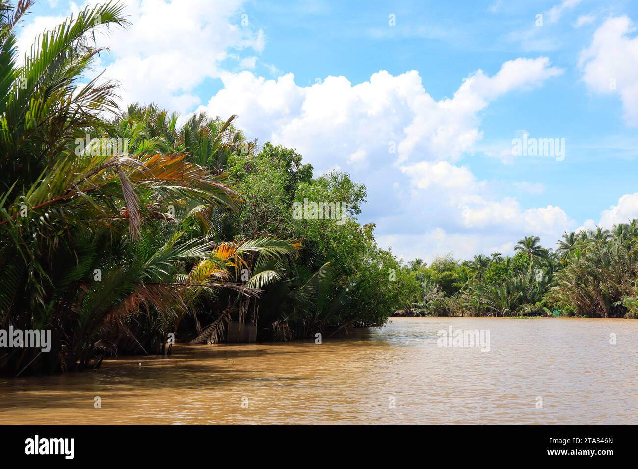 Mekong Delta river, Vietnam Stock Photo - Alamy