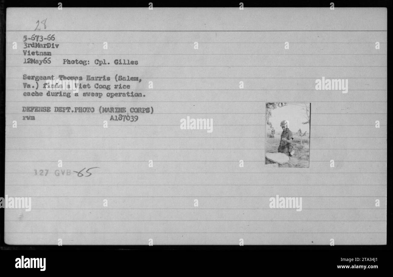 Marine Sgt Thomas Harris discovers a Viet Cong rice cache with captured ...
