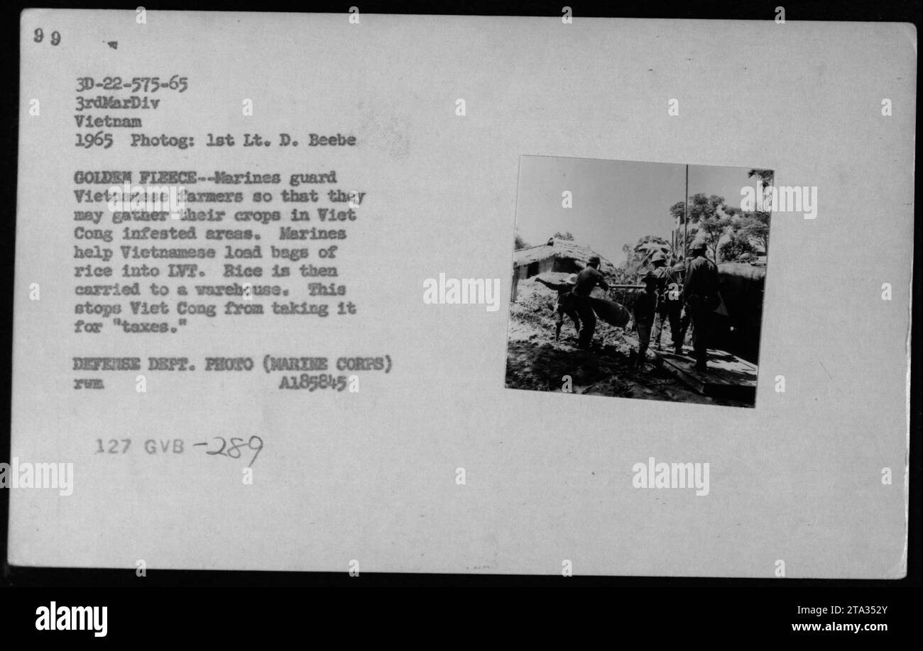 In 1965, Marines assisted Vietnamese farmers by loading rice onto an ...