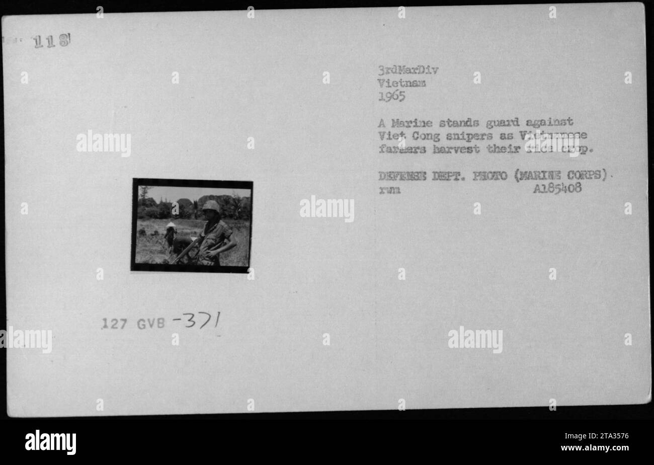 Vietnam war snipers hi-res stock photography and images - Alamy