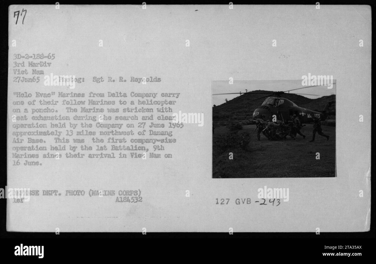 On June 27, 1965, Marines from Delta Company, 3rd MarDiv carry a Marine ...
