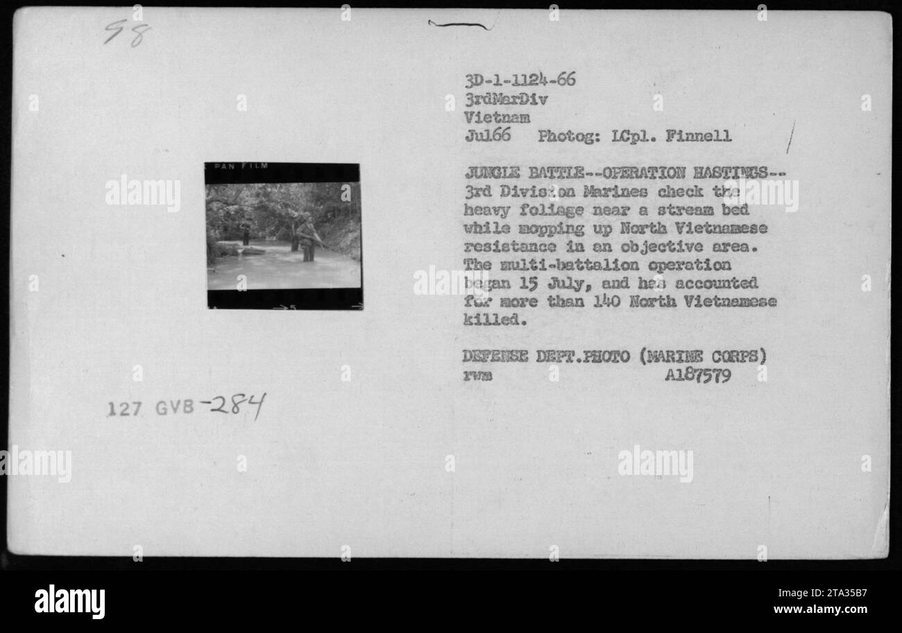 A group of 3rd Division Marines cautiously patrol through a dense ...