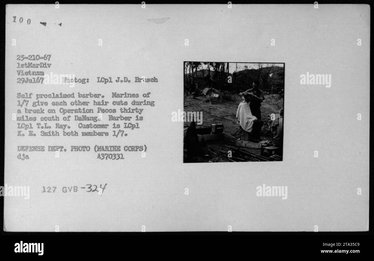 Grooming operation Black and White Stock Photos & Images - Alamy