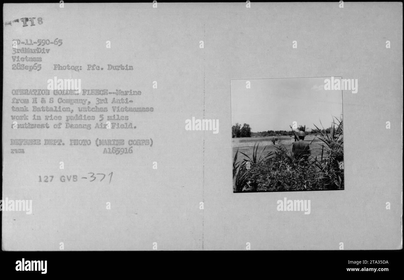 A marine from H&S Company, 3rd Anti-tank Battalion, is witnessed ...