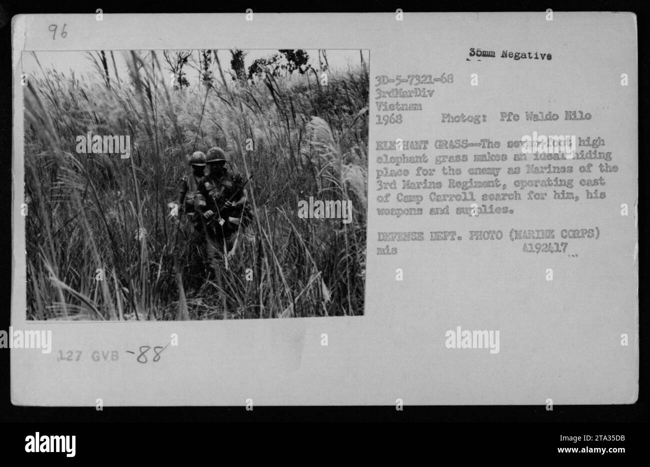 Marines of the 3rd Marine Regiment advance through dense elephant grass ...