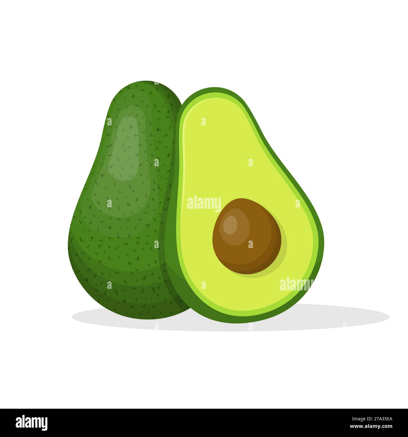 Fresh avocado vegetable organic Stock Vector Images - Alamy