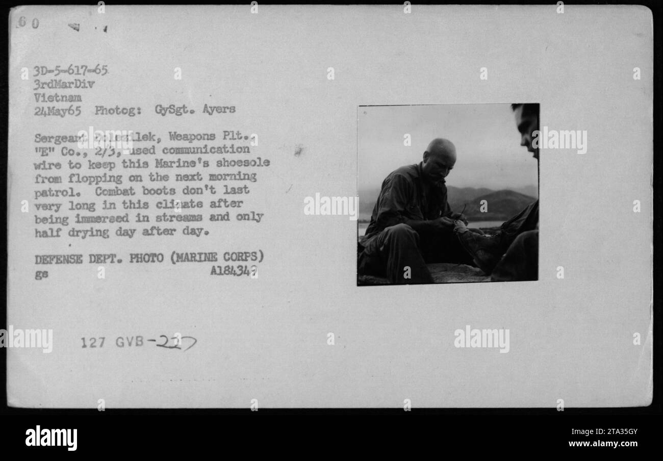 127 gvb 227 hi-res stock photography and images - Alamy