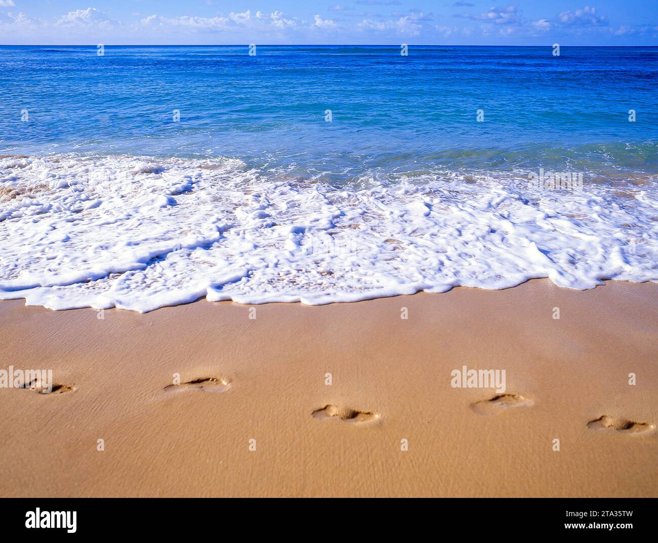 Footsteps in sand, Eagle Beach, Oranjestad District, Aruba, ABC Islands ...