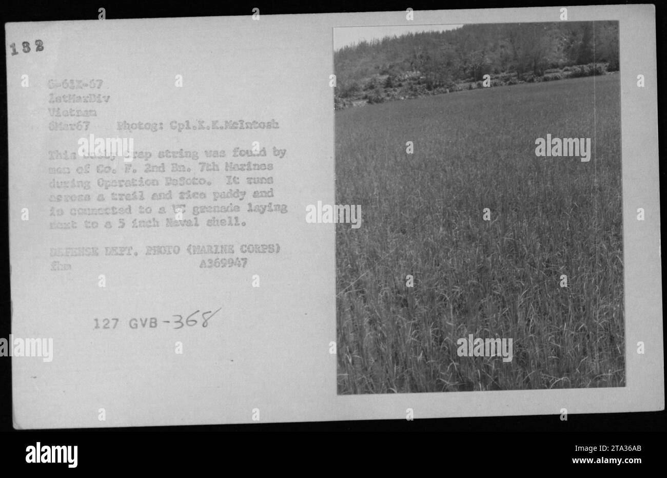 Viet cong guerrilla soldiers hi-res stock photography and images - Alamy