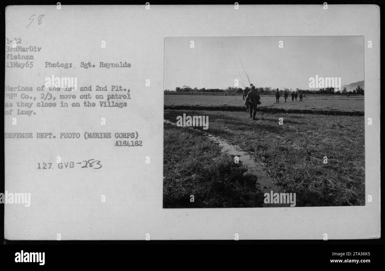 On May 11, 1965, Marines from 1st and 2nd Platoons, Company 2/3 ...
