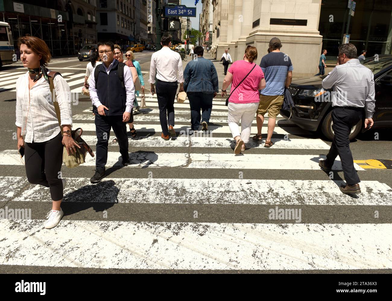 American zebra crossing hi-res stock photography and images - Alamy