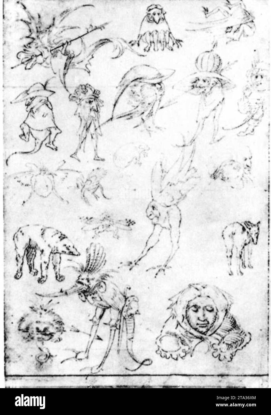 Studies of Monsters - by Hieronymus Bosch Stock Photo - Alamy