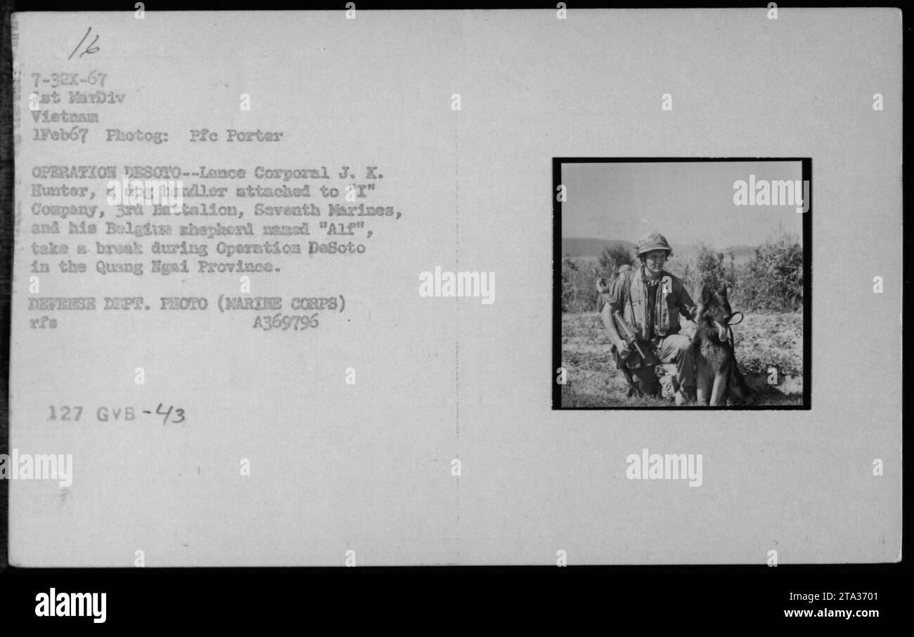 Canine unit vietnam soldiers hi-res stock photography and images - Alamy