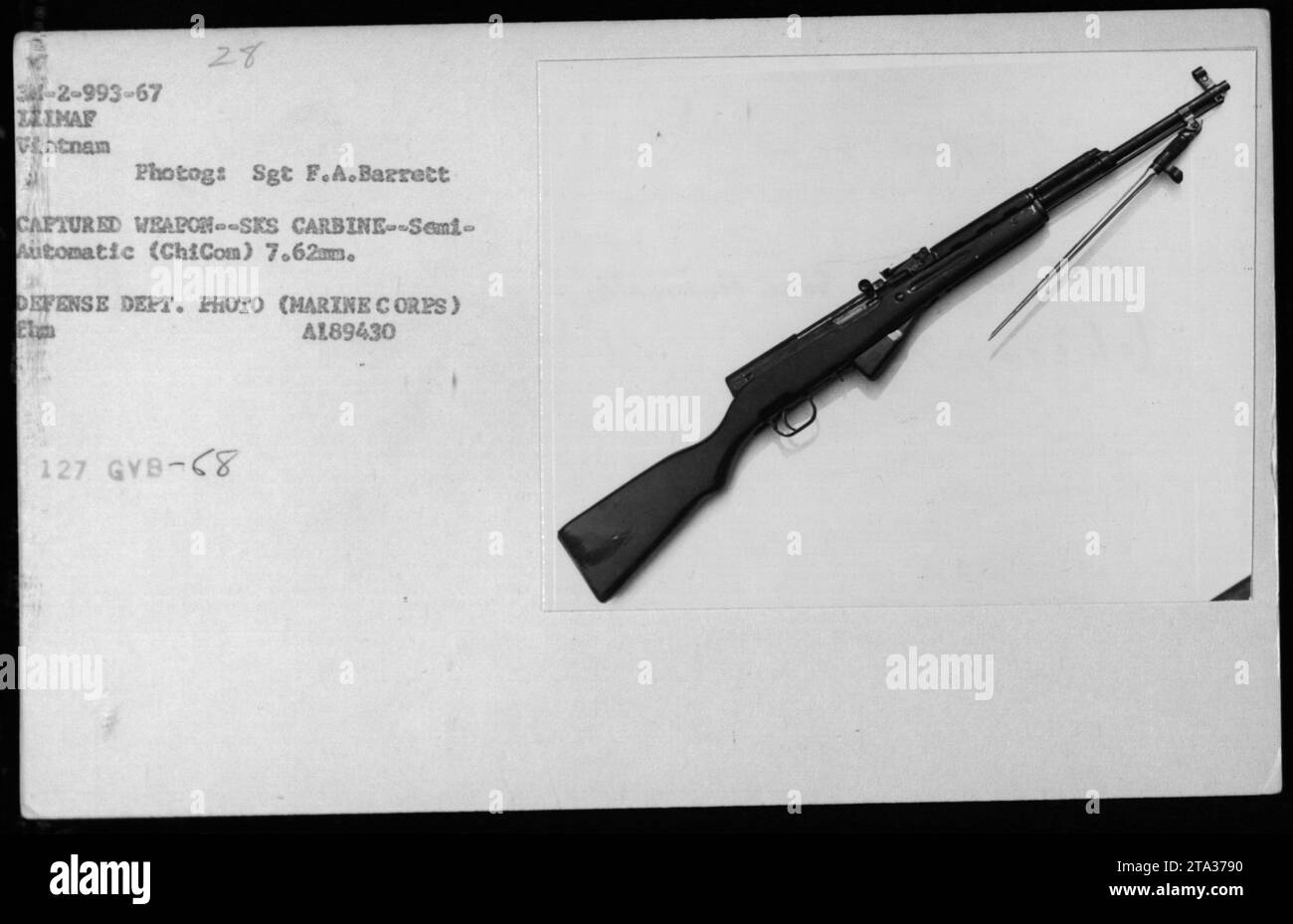 Sks carbine hi-res stock photography and images - Alamy