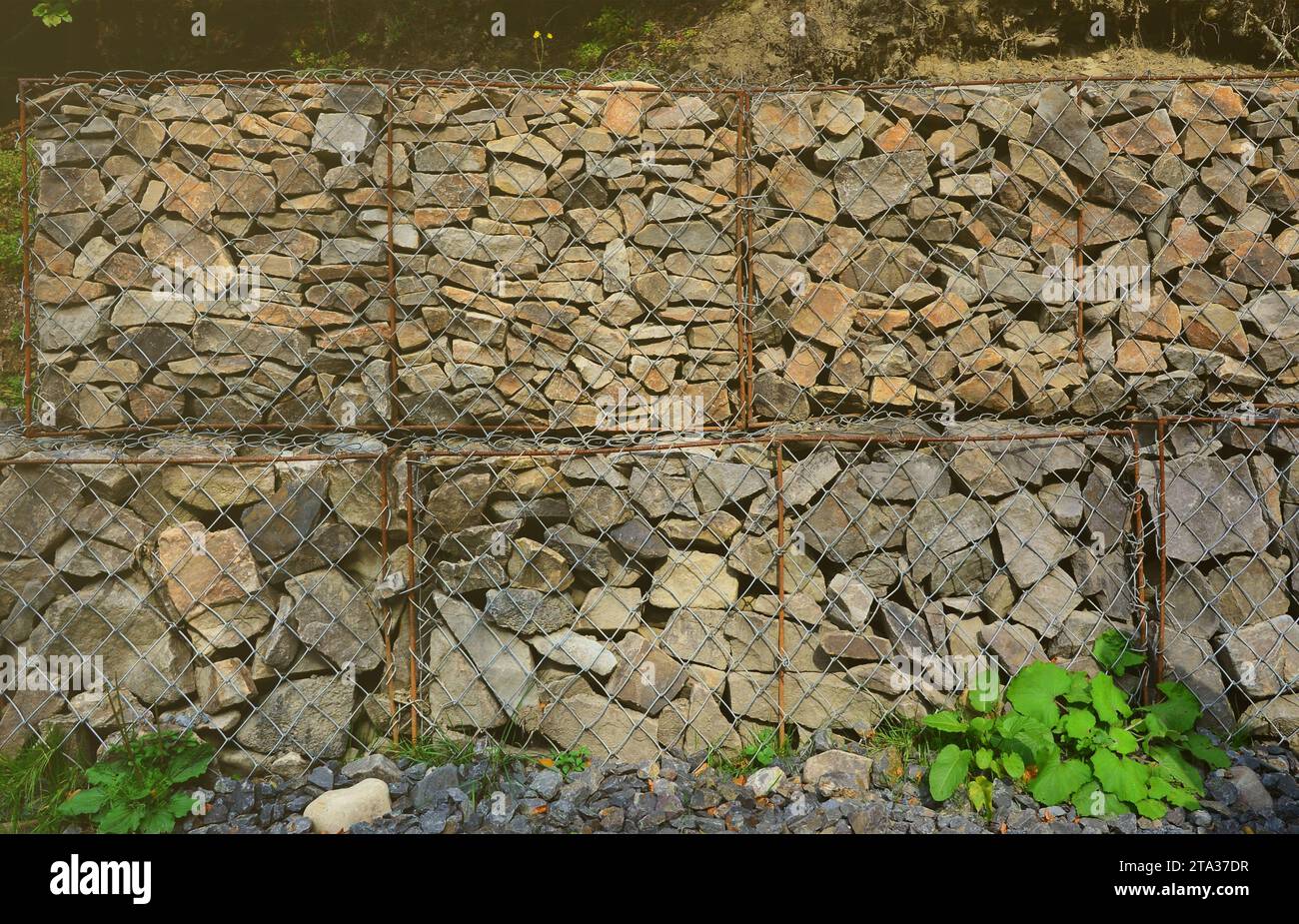 Photo of several gabions. The mesh cells of the cubic form are filled ...