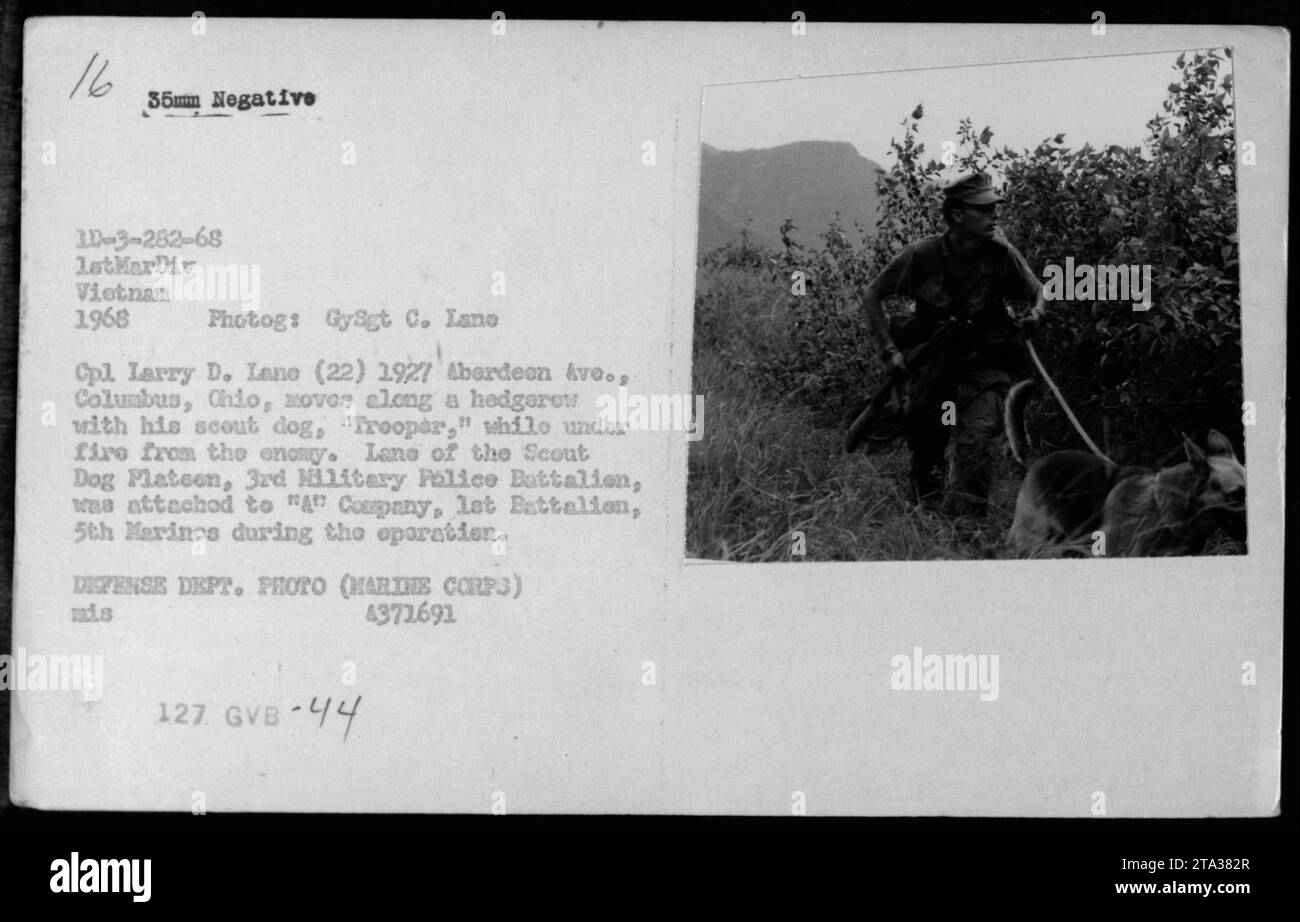 Gysgt c lane hi-res stock photography and images - Alamy