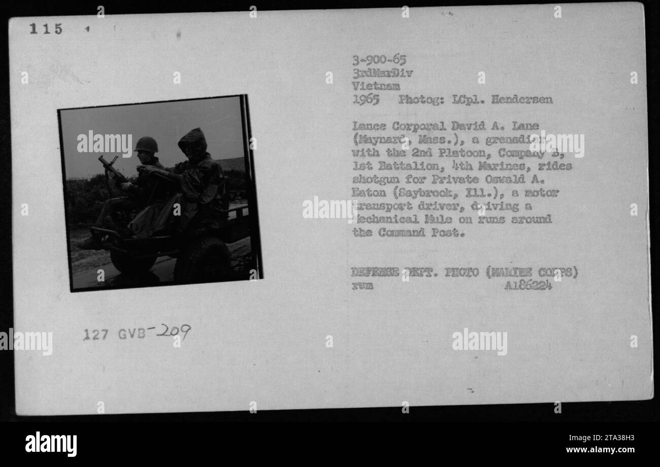 LCpl David A. Lane, grenadier of 2nd Platoon, Company B, 1st Battalion ...