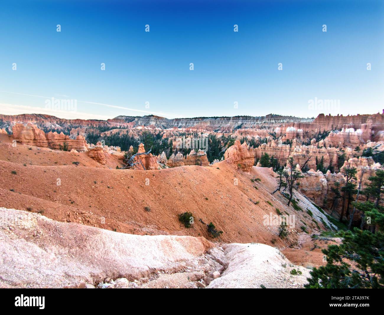 A picturesque scene featuring an earthen mound with an array of trees ...
