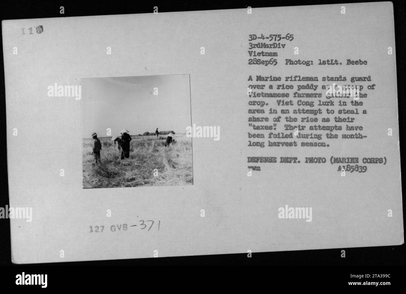 September 1965 combat hi-res stock photography and images - Alamy