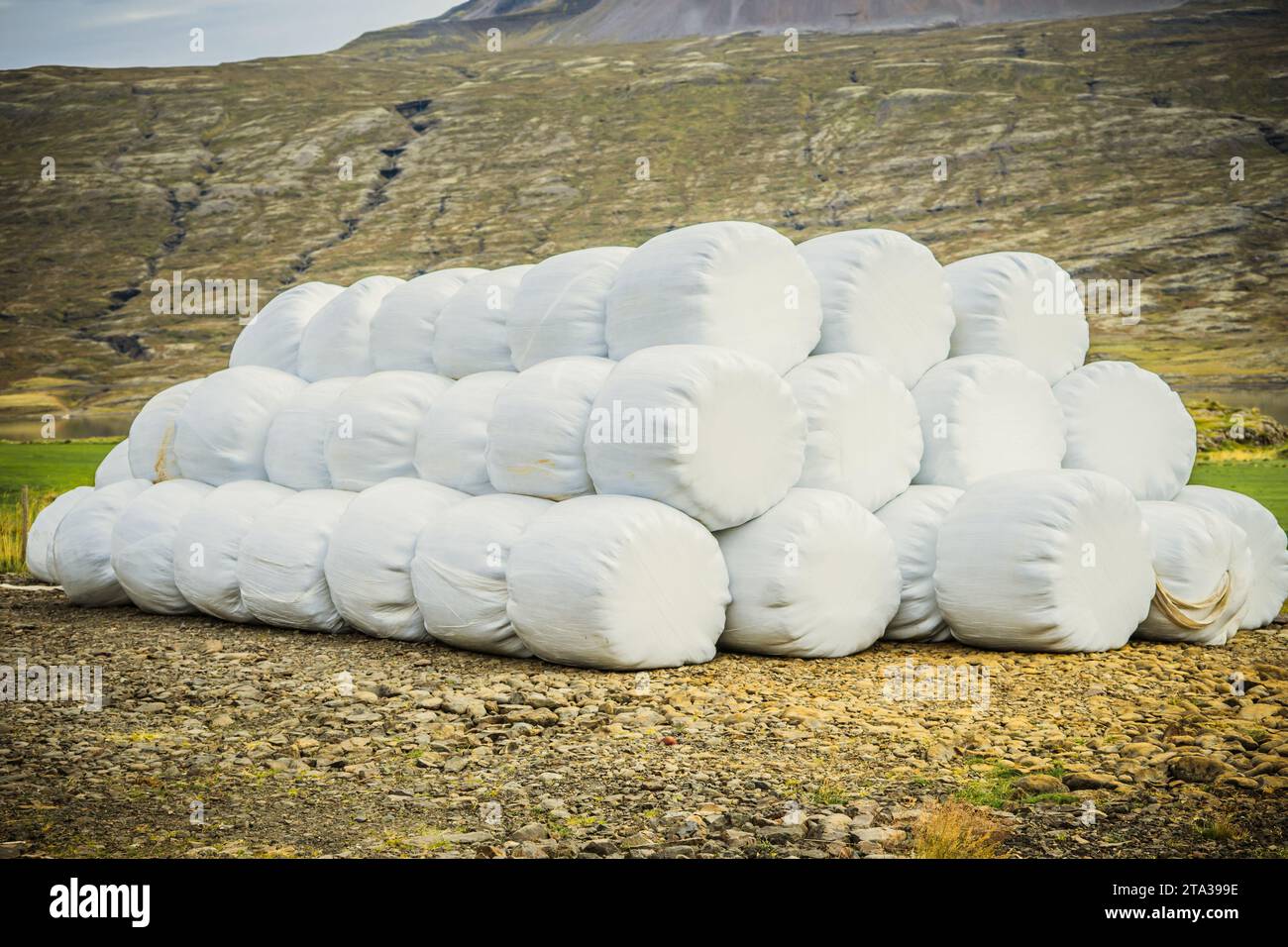 A large quantity of hay bales stacked in a neat and orderly pile Stock ...