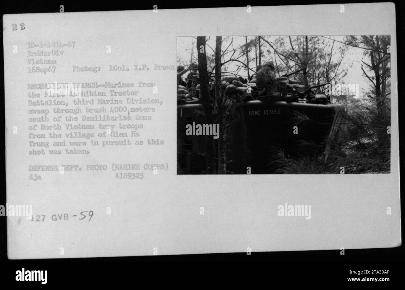 Marine search operation: Marines from the First Amphibian Tractor ...