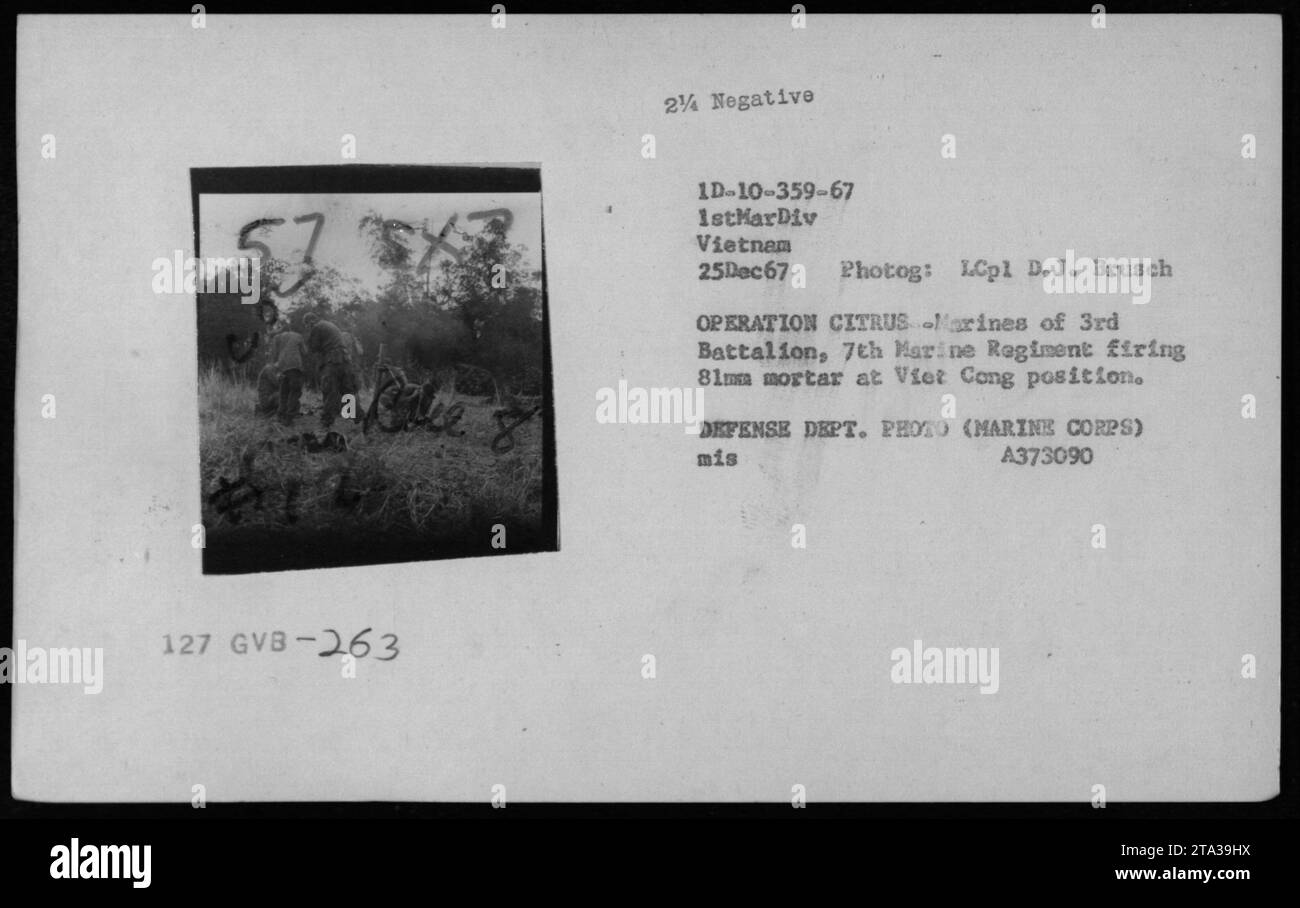 Marines from the 3rd Battalion, 7th Marine Regiment participate in ...