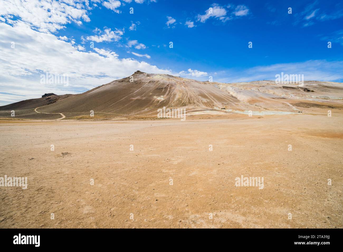Lonely snake hi-res stock photography and images - Alamy